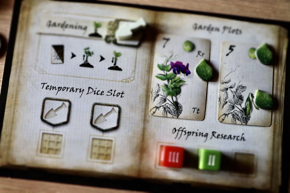 Genotype: A Mendelian Genetics Game – Tabletopping