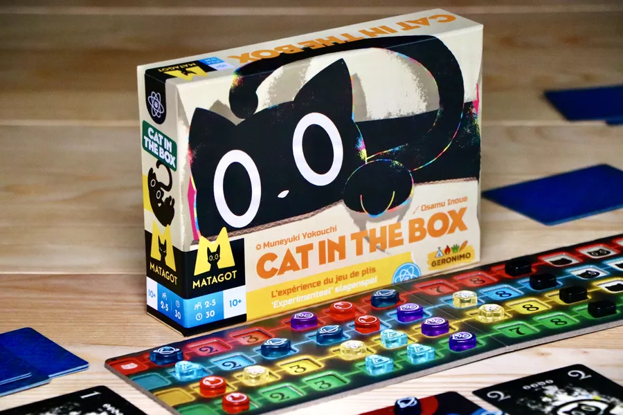 Cat In The Box