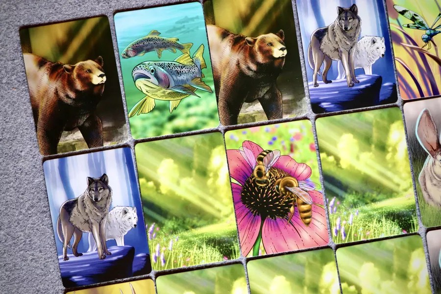Ecosystem – Draft, Place, Score: Solving Nature’s Puzzle – Tabletopping
